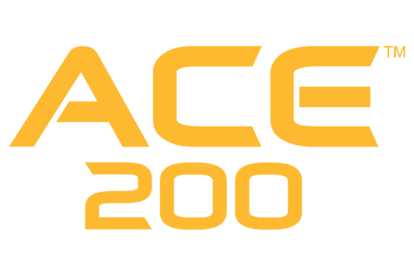 Ace 200 ~ Beginner Metal Detector | Garrett